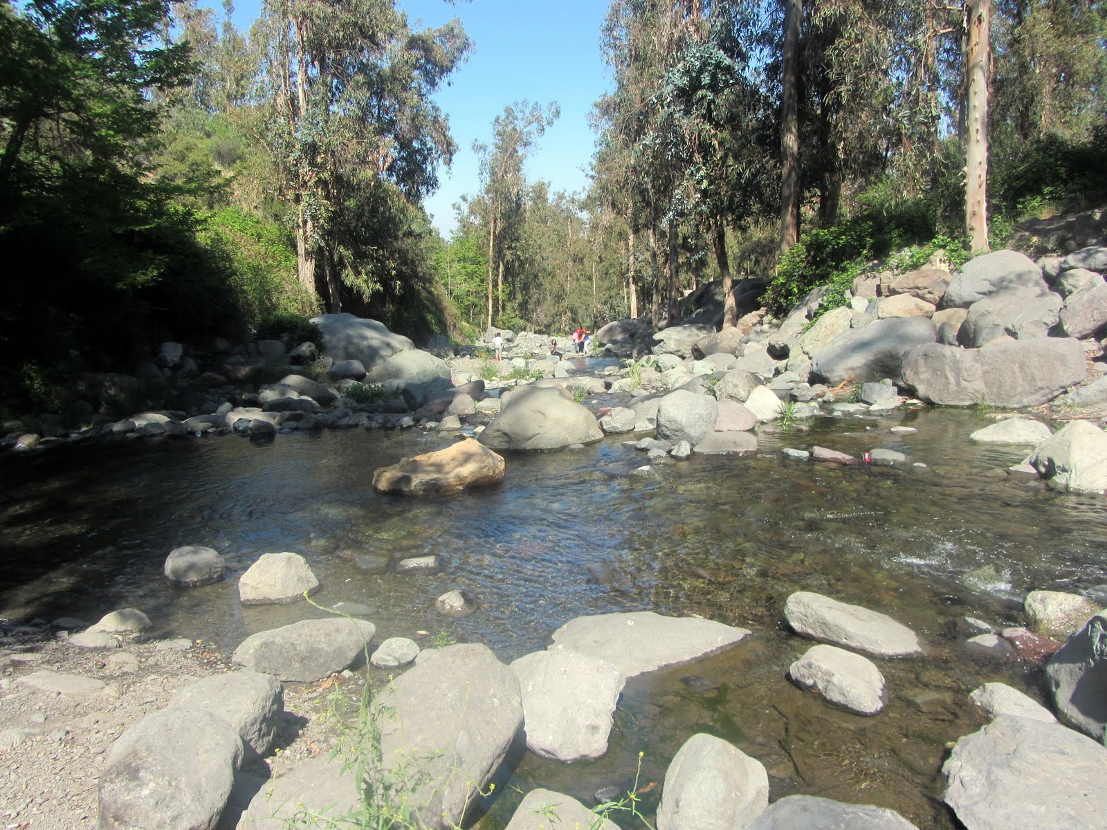 enviajevoy.blogspot.cl...: Parque Quebrada de Macul.