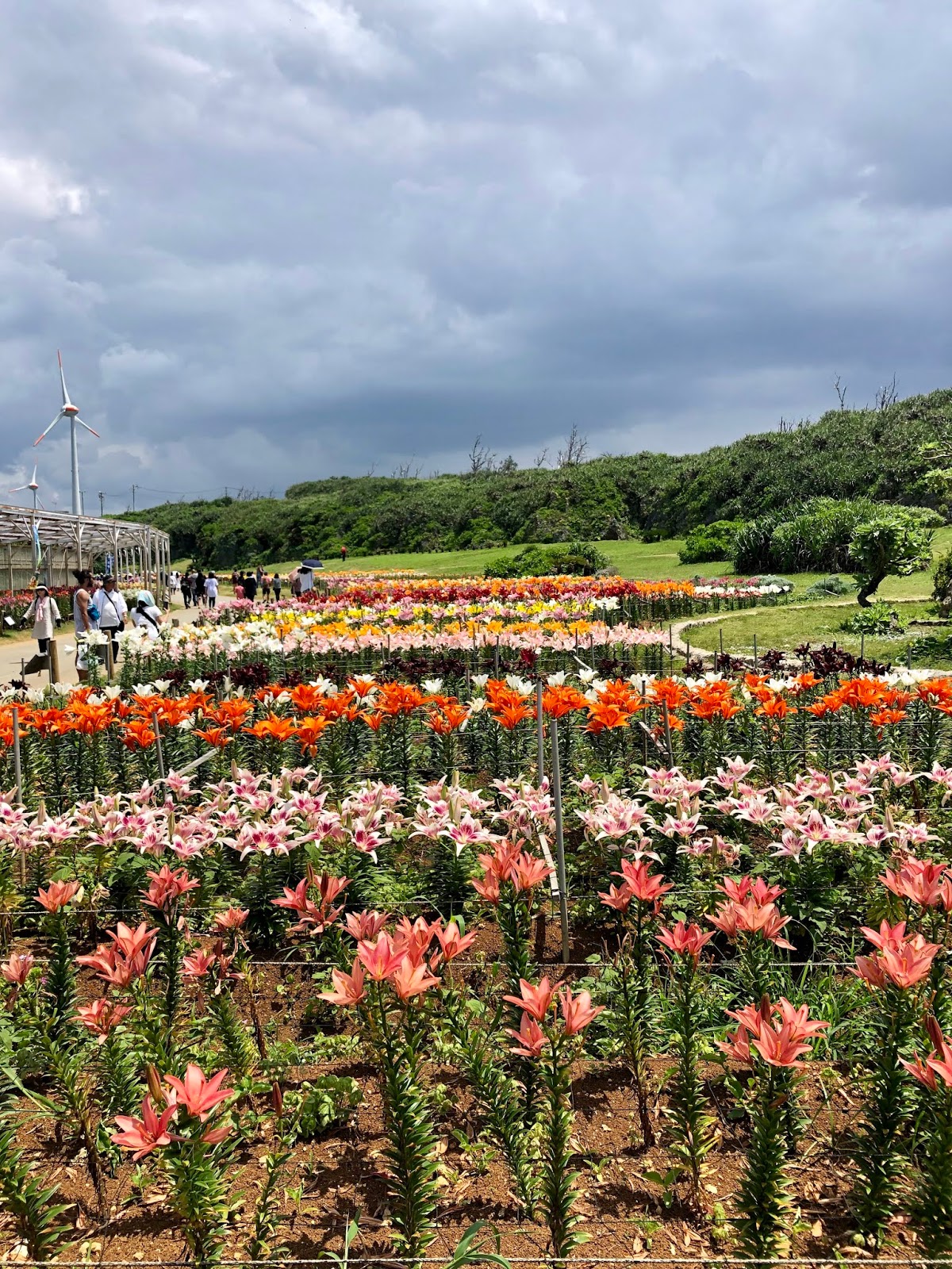 Tins and Treasures: Welcome to Okinawa ~Time with Family ~Day Trip to ...