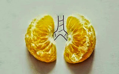 ΑΠΟΚΑΛΥΨΗ ΤΩΡΑ ΣΕ ΟΛΑ..!: ΒΟΤΑΝΑ