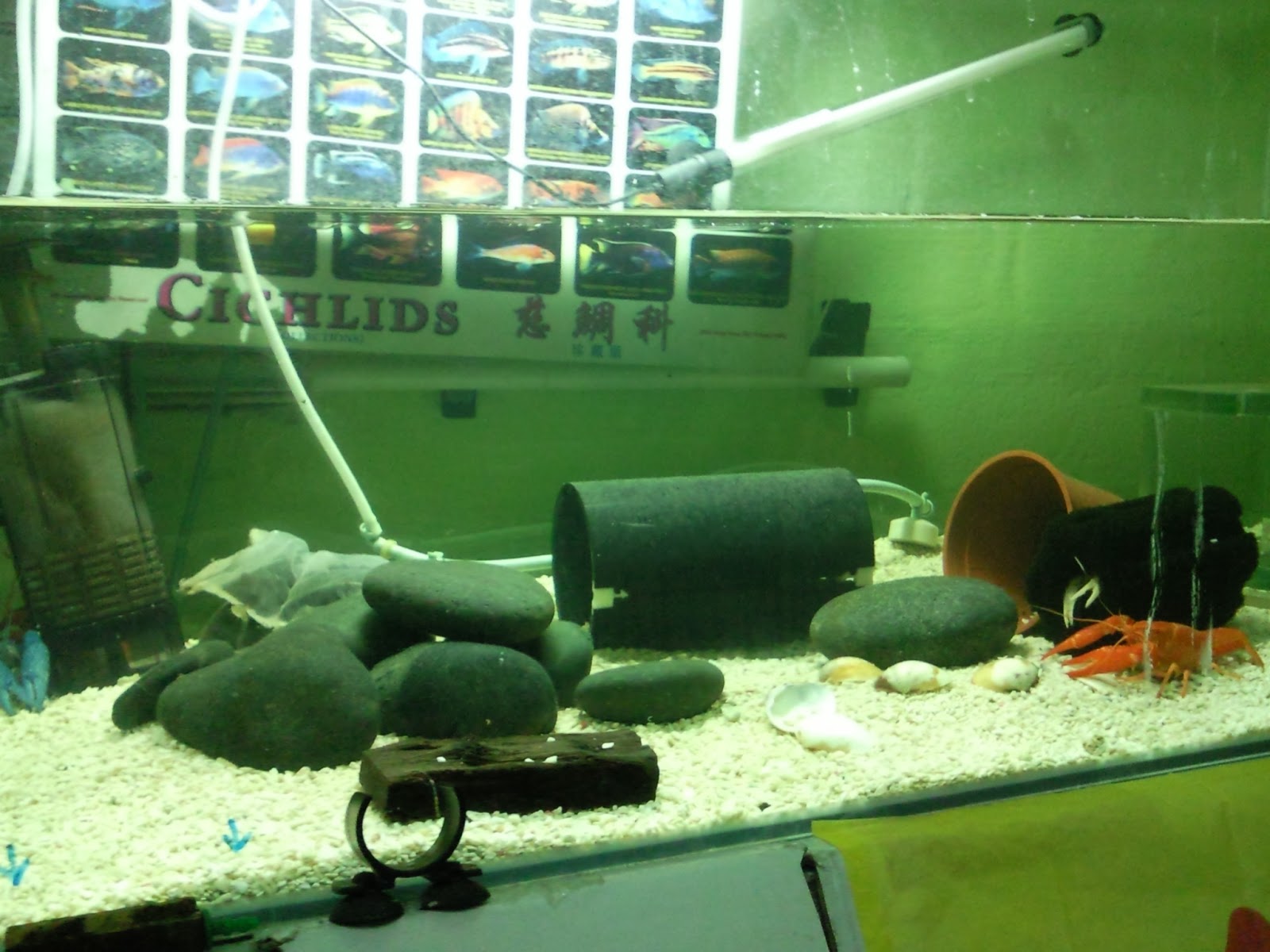 Tropical Fisher Man Fish Tanks And Aquarium CRS: Aquarium Home Multiple ...