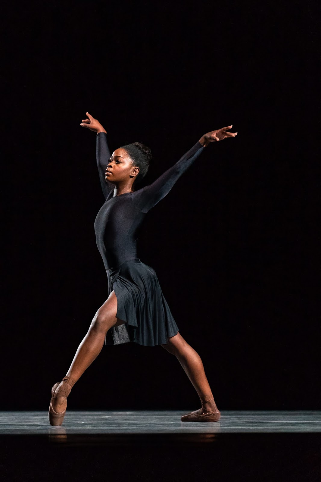 Terpsichore: "Portrait" - Michaela DePrince
