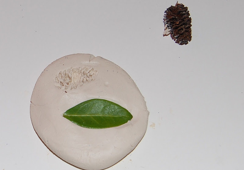 Our Creative Day: Nature Imprints