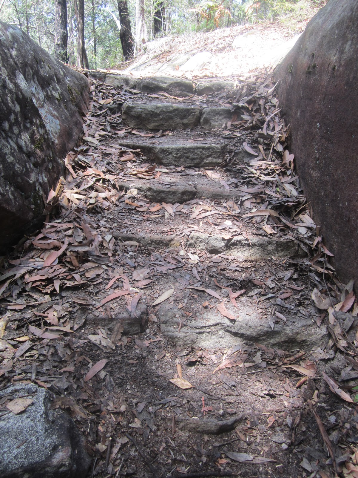 History Services Blog: Depression Era Heritage in Thornleigh?