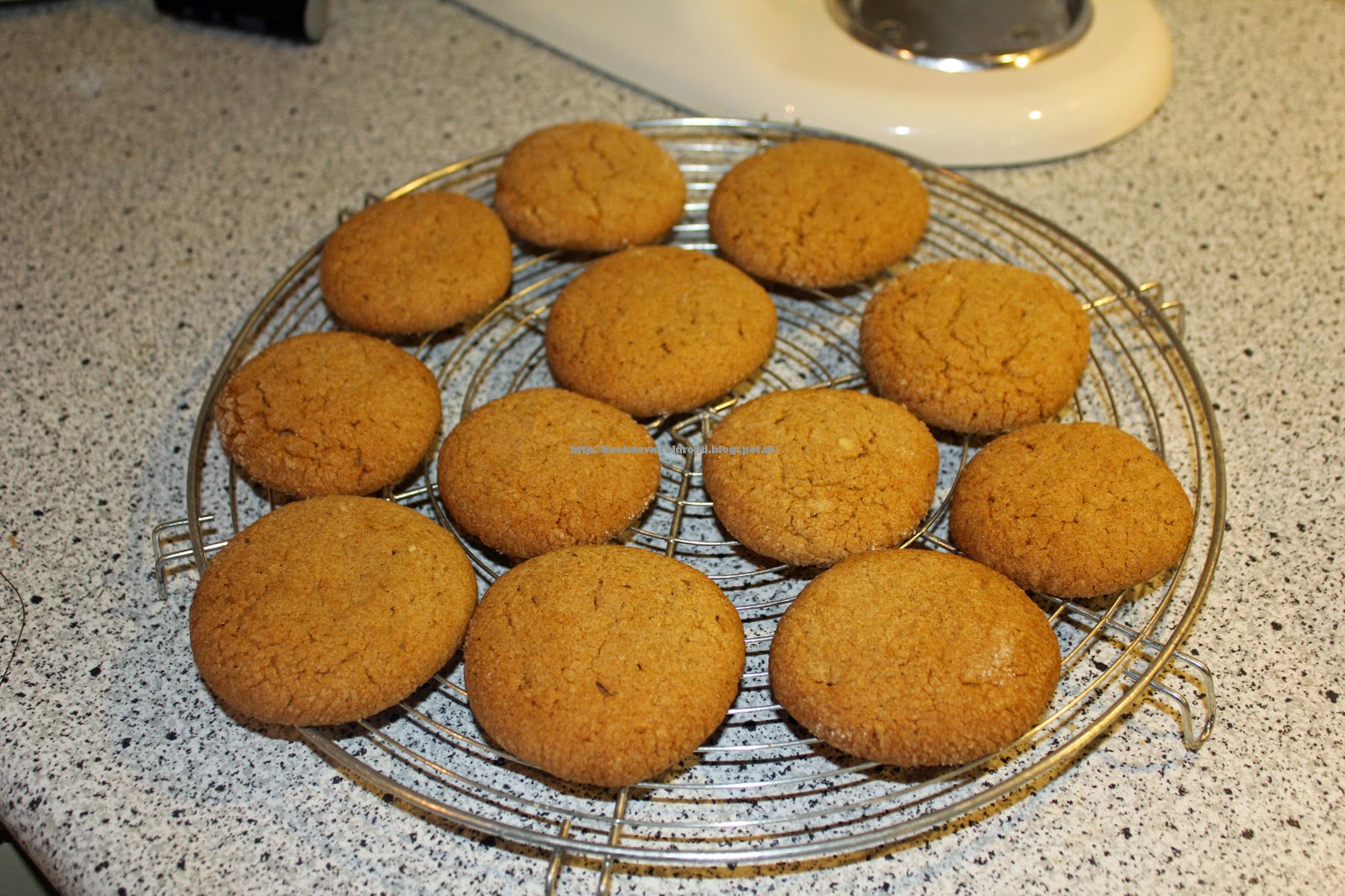 Kook de wereld rond!: Glutenvrije gemberkoekjes