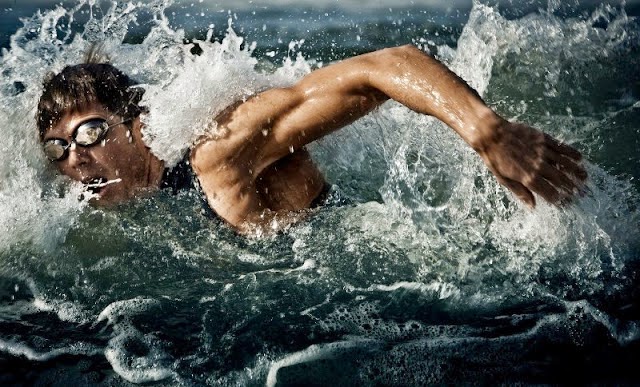 Max Wettstein Fitness Blog!: The Value of Hiring a Professional Fitness ...