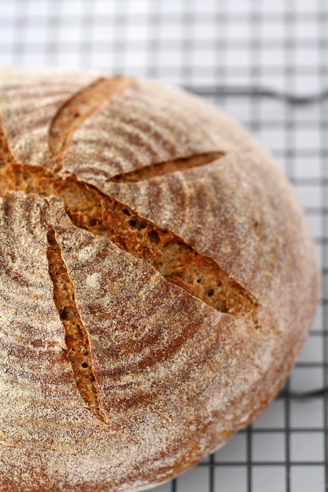 50% Whole-Rye and Whole-Wheat Bread - Ever Open Sauce