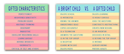 Fun with SATB2 Associated Syndrome : Talking About Gifted vs Special Needs