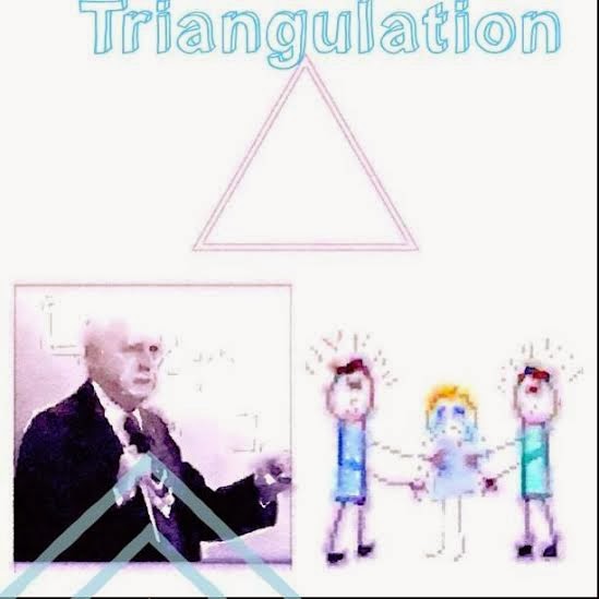 Beating The Social Work Exam: Triangulation Term Found on The Social ...