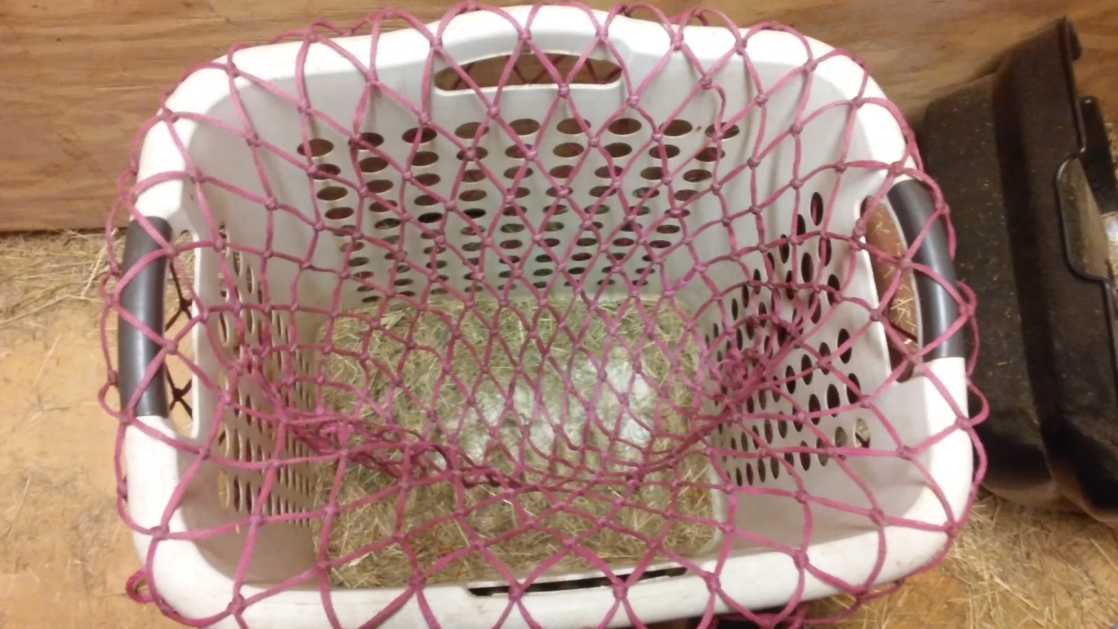 The Well Groomed Horse: Hay nets