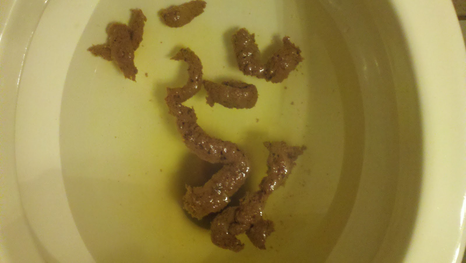 My Daily Poo: October 2011