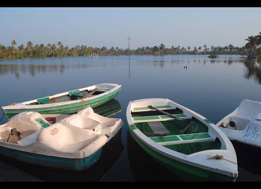 BENN PHOTOGRAPHY ©: Aqua Fish Farm Narakkal - a place to visit in Kochi