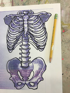 Art Room Blog: 5th grade Skeleton Torso Project...
