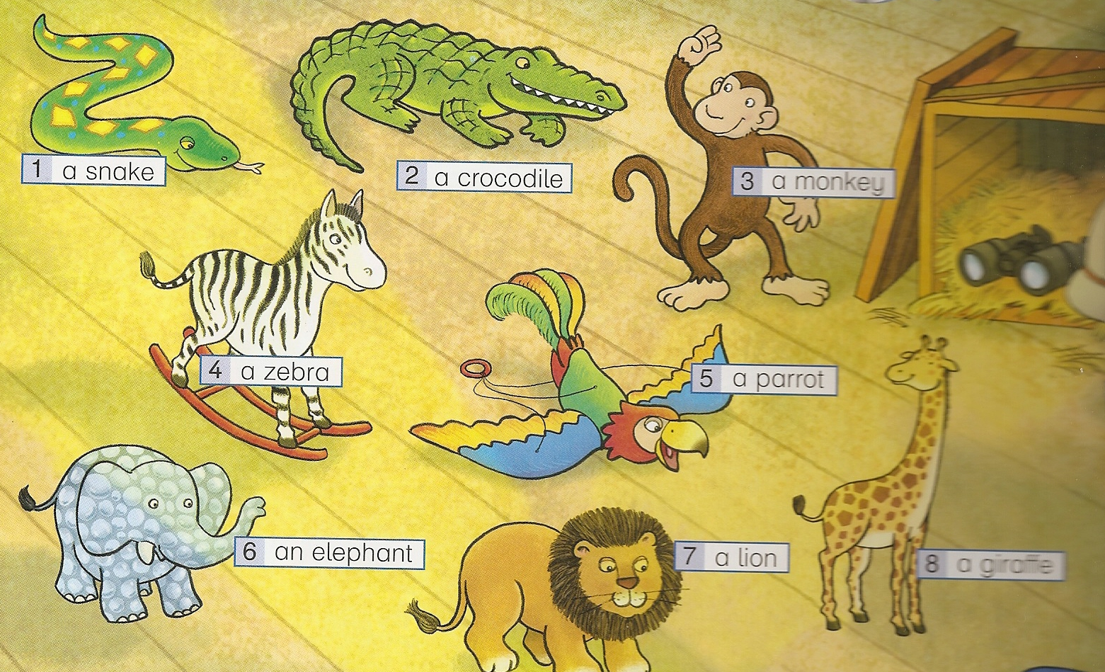 It's Teaching Time: 3rd grade Primary: The animals