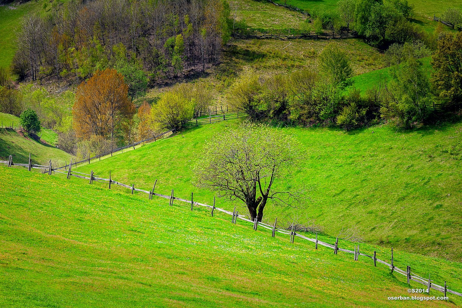 Octavian Serban: Somewhere in Romania...spring time...