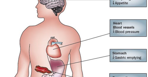 Low Blood Sugar Symptoms Type 2 Diabetes Mellitus Definition What Do Low Blood Sugar Symptoms Type 2 Diabetes Mellitus Definition What Do