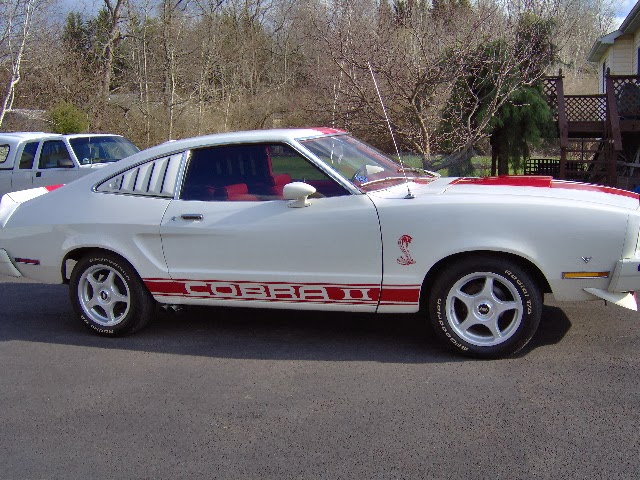 Virginia Classic Mustang Blog: Check out this Mustang Collection from ...