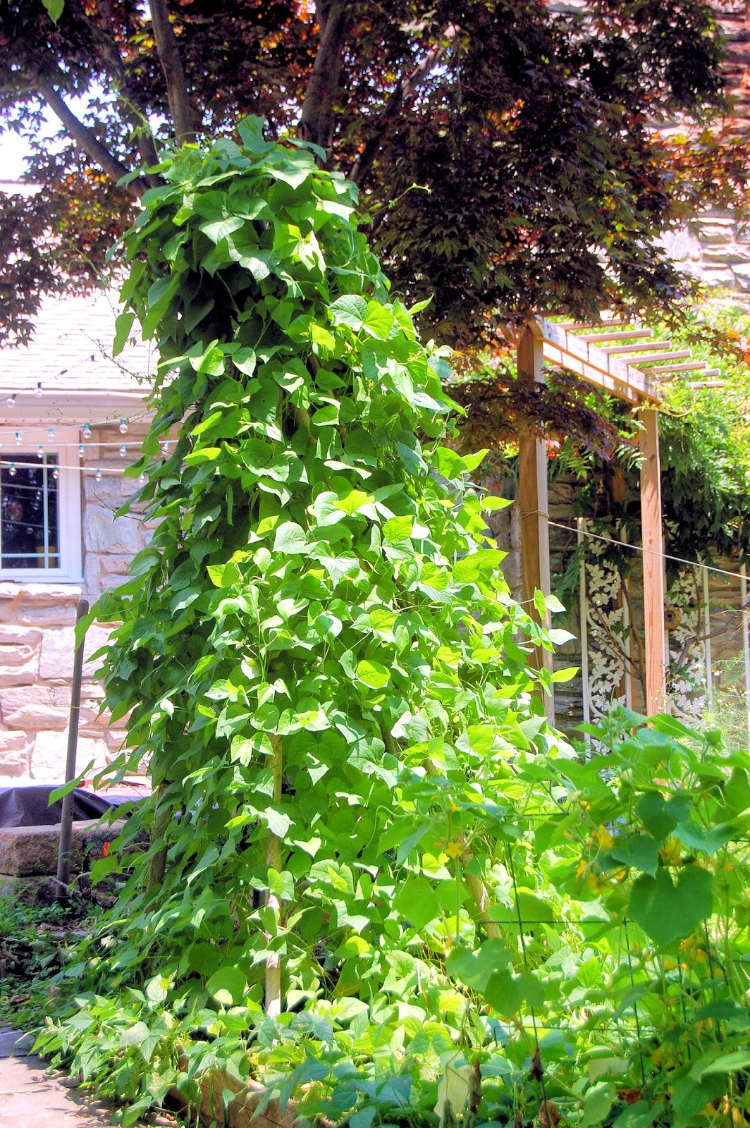 The Bumbling Gardenista: Garden Perch