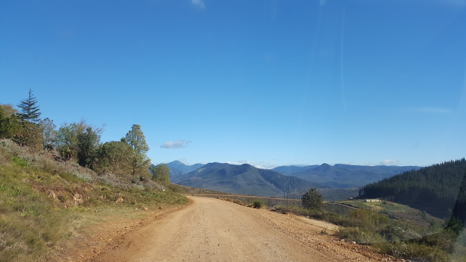 Mischas Reiseseite: Knysna und der Prince Alfred Pass