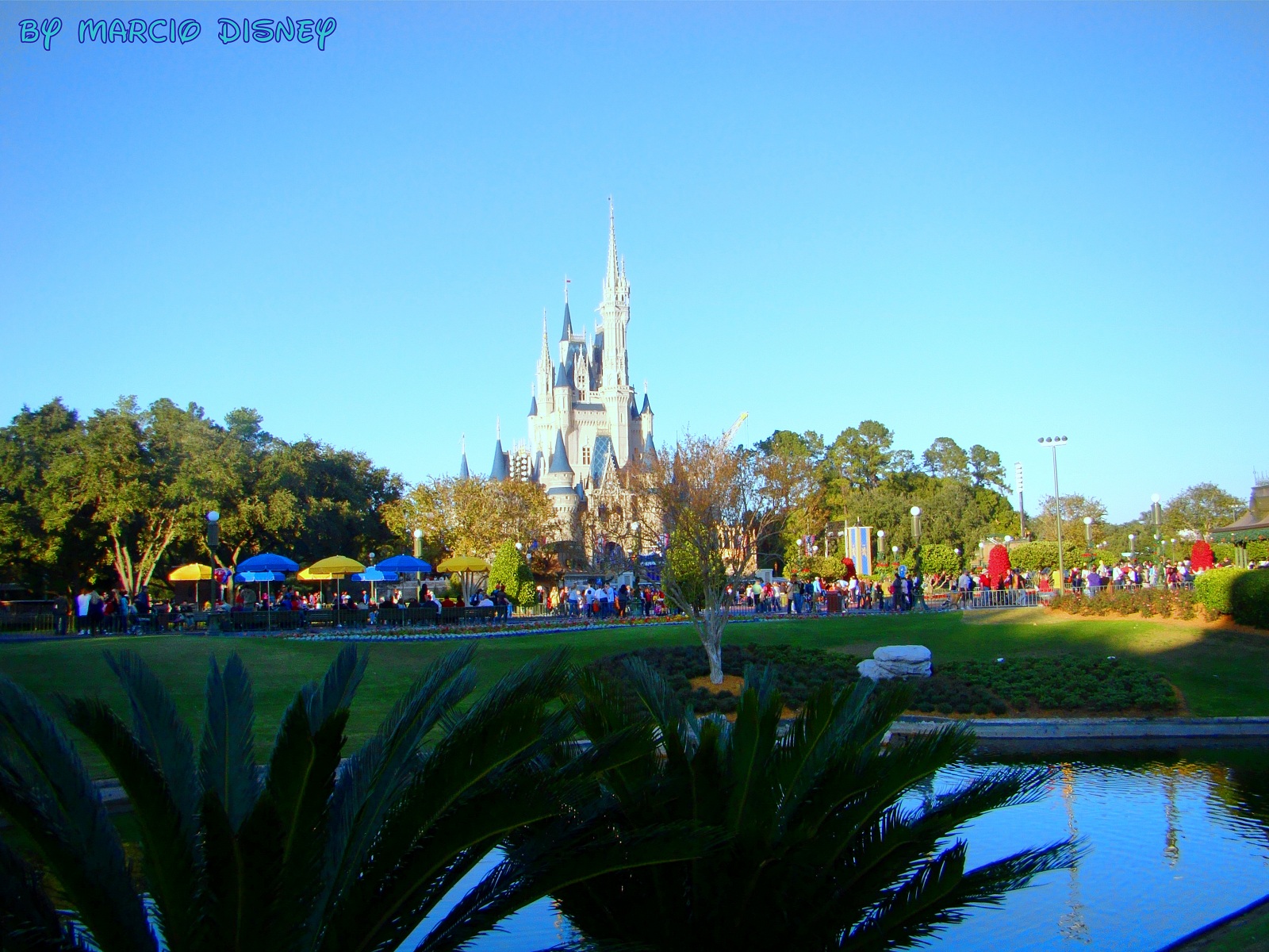 The Walt Disney World Picture of the Day: Sunny Castle from the Lake [2 ...