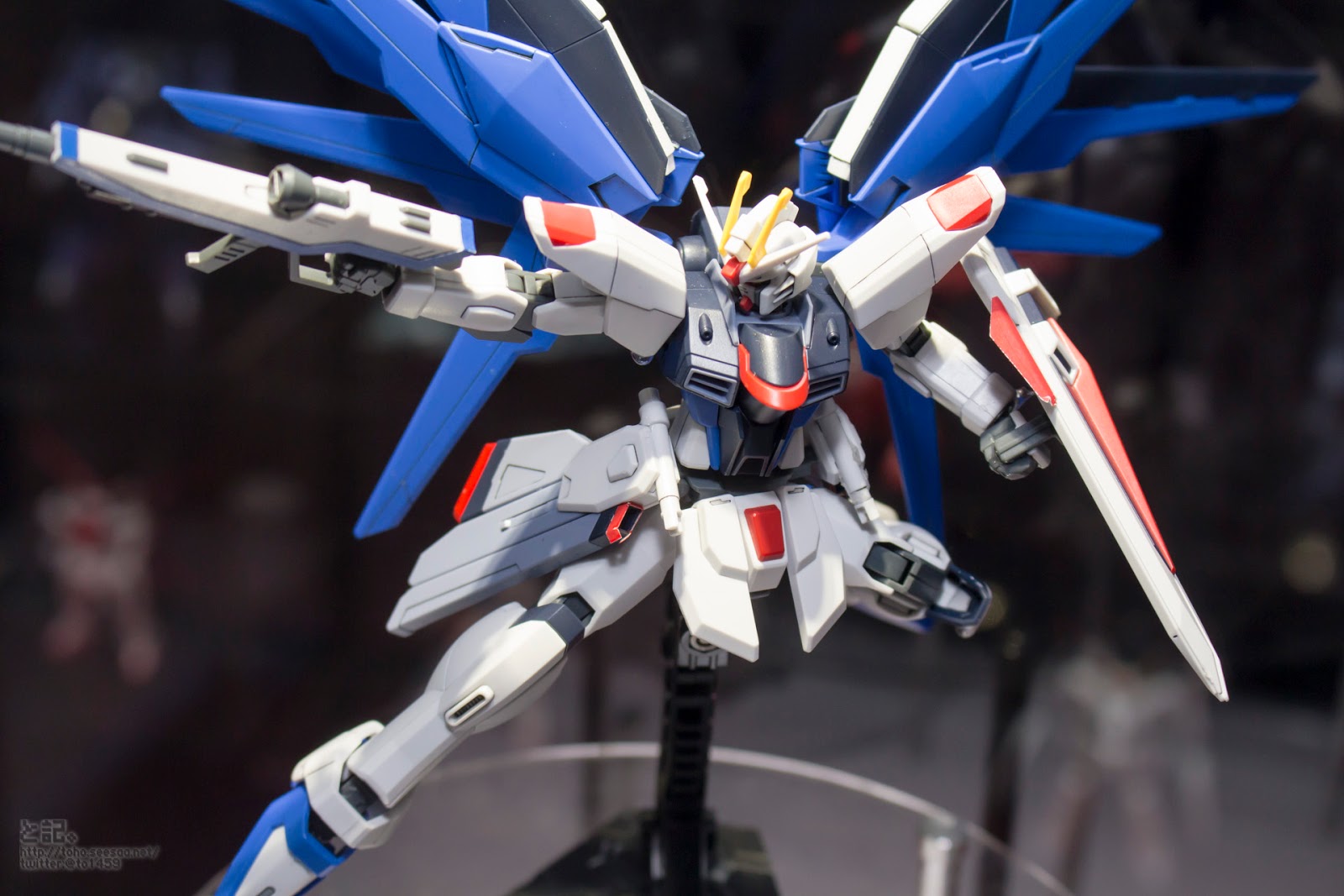 GUNDAM GUY: HG 1/144 Freedom Gundam (REVIVE) - On Display @ World Hobby ...