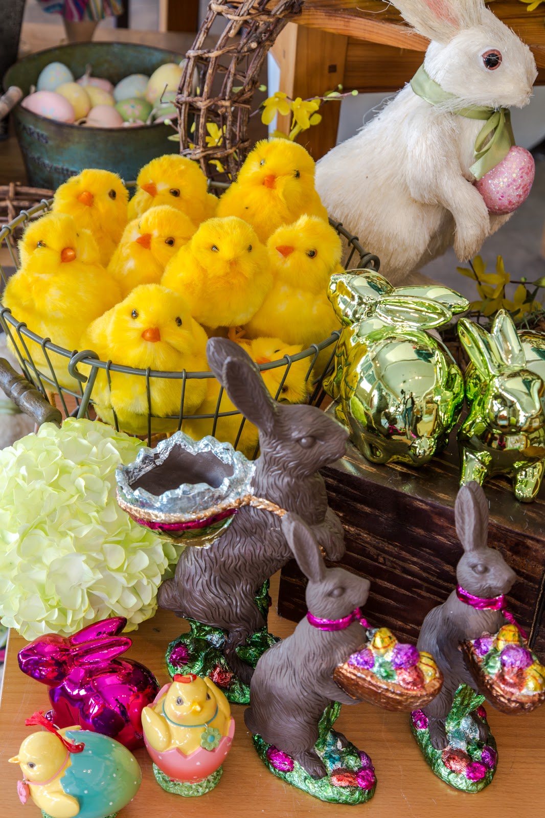 * T h e * V i s u a l * V a m p *: Belladonna Spring