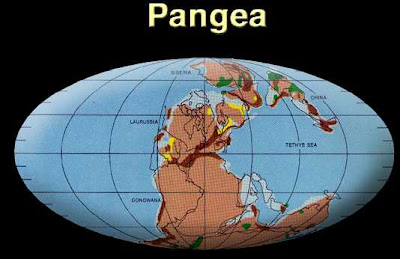 pangeas Earth: PANGEA
