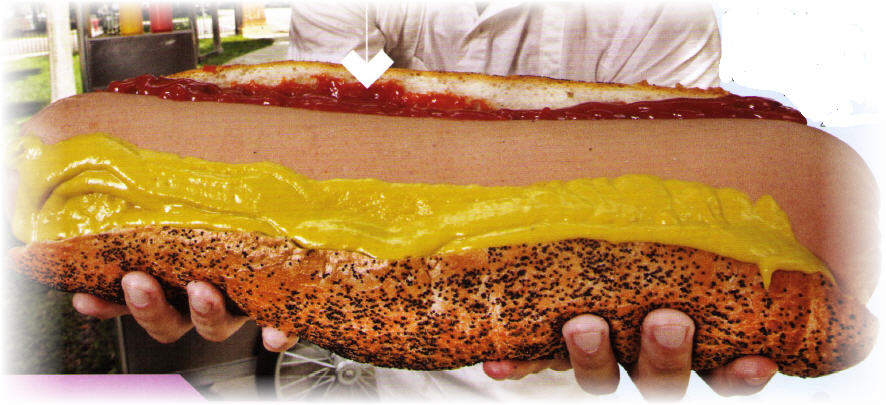 S T R A V A G A N Z A: GUINNESS WORLD RECORDS 2013