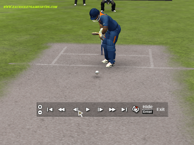 Cricket Patches: Asian Half sleeves for EA Cricket 07