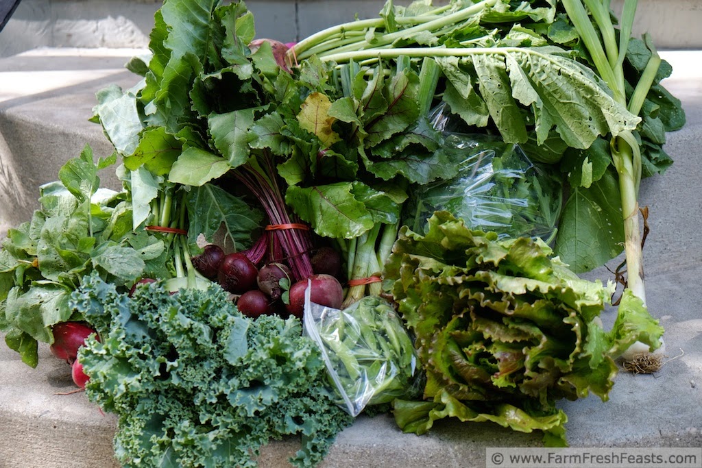 Farm Fresh Feasts: Use This Blog