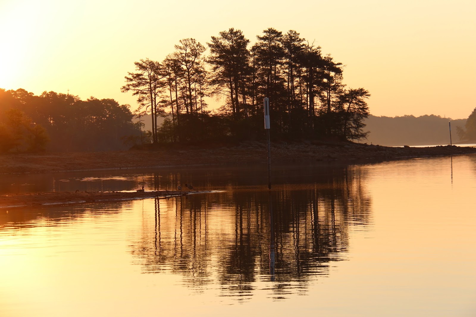 Cadernos de viagem: Lago Lanier: um lago artificial … que parece natural