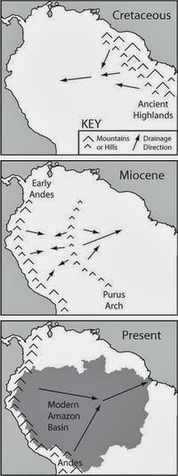 The Agatelady: Adventures and Events: The Amazon River Changed Direction