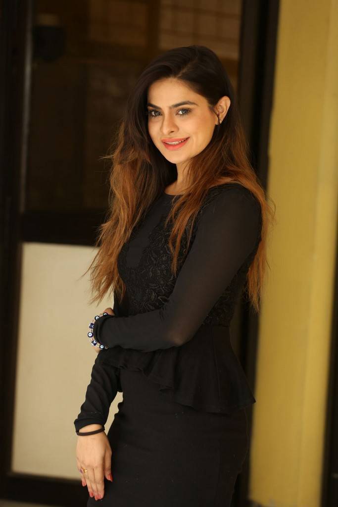 Anitha Raghav Sexy Photos At Saaradhi Movie Press Meet - Hollywood ...