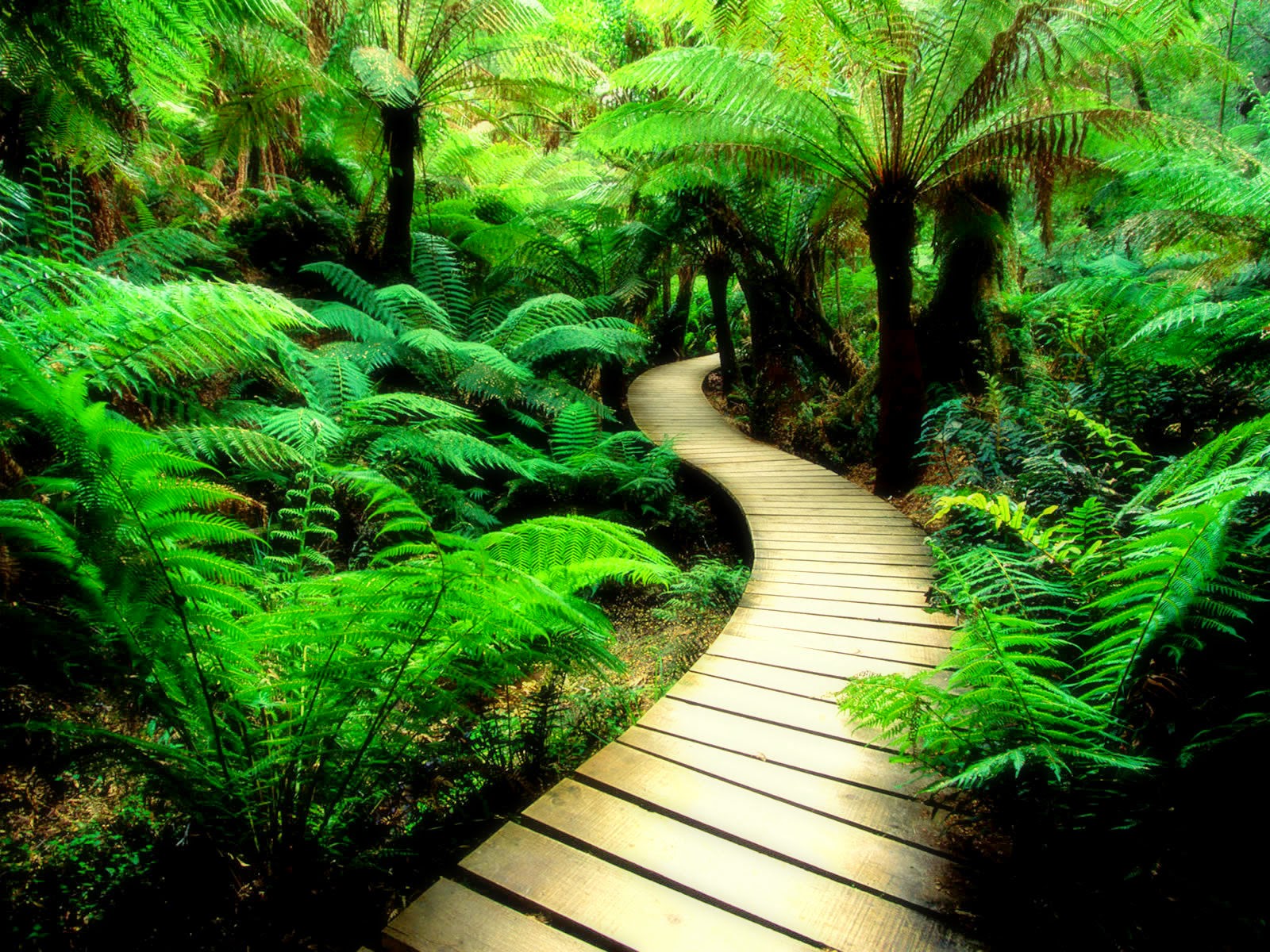 keindahan alam sunyi - wallpapers keindahan alam