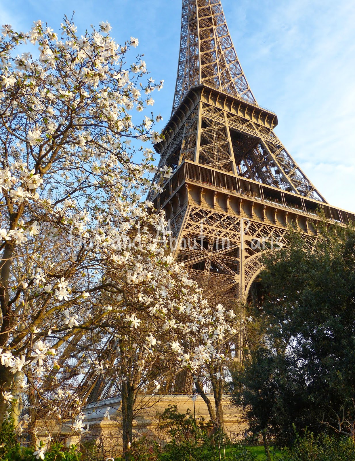Sunday's Pictures and a Song: A Declaration of Love and Springtime in Paris