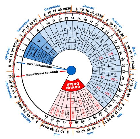 kalkulator kehamilan dan Cara Menghitung Usia Kehamilan - Bagikan Tips