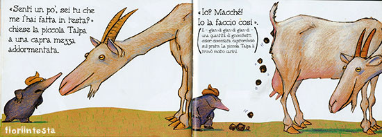 FIORI IN TESTA: LIBRI per bambini: Chi me l'ha fatta in testa?