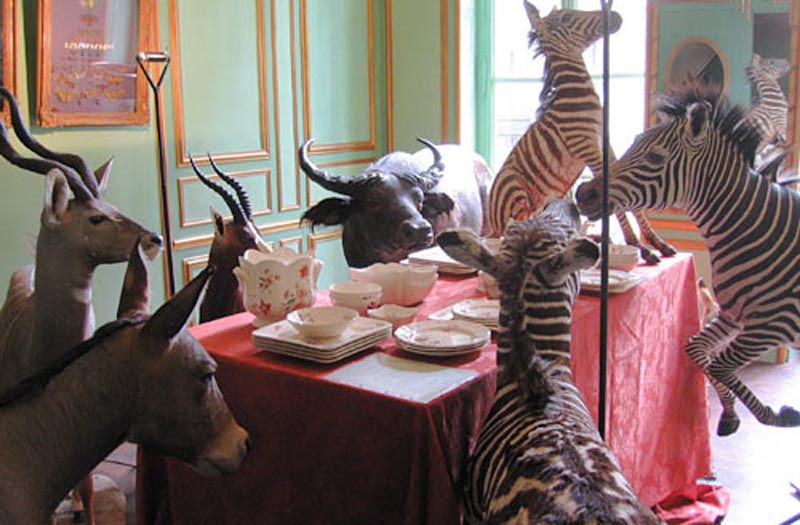 PARIS – Deyrolle Taxidermist | Brose Nose