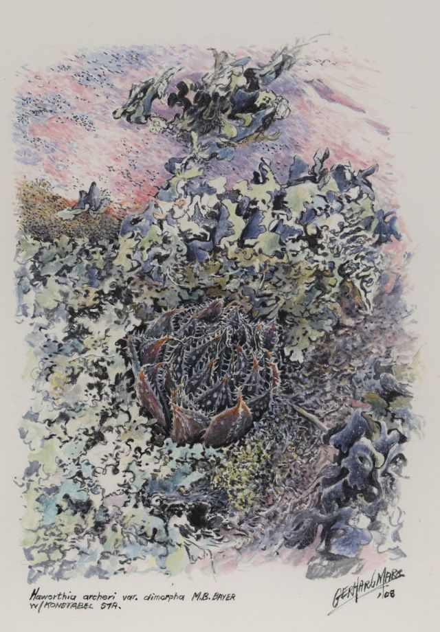 Gerhard Marx: Artwork