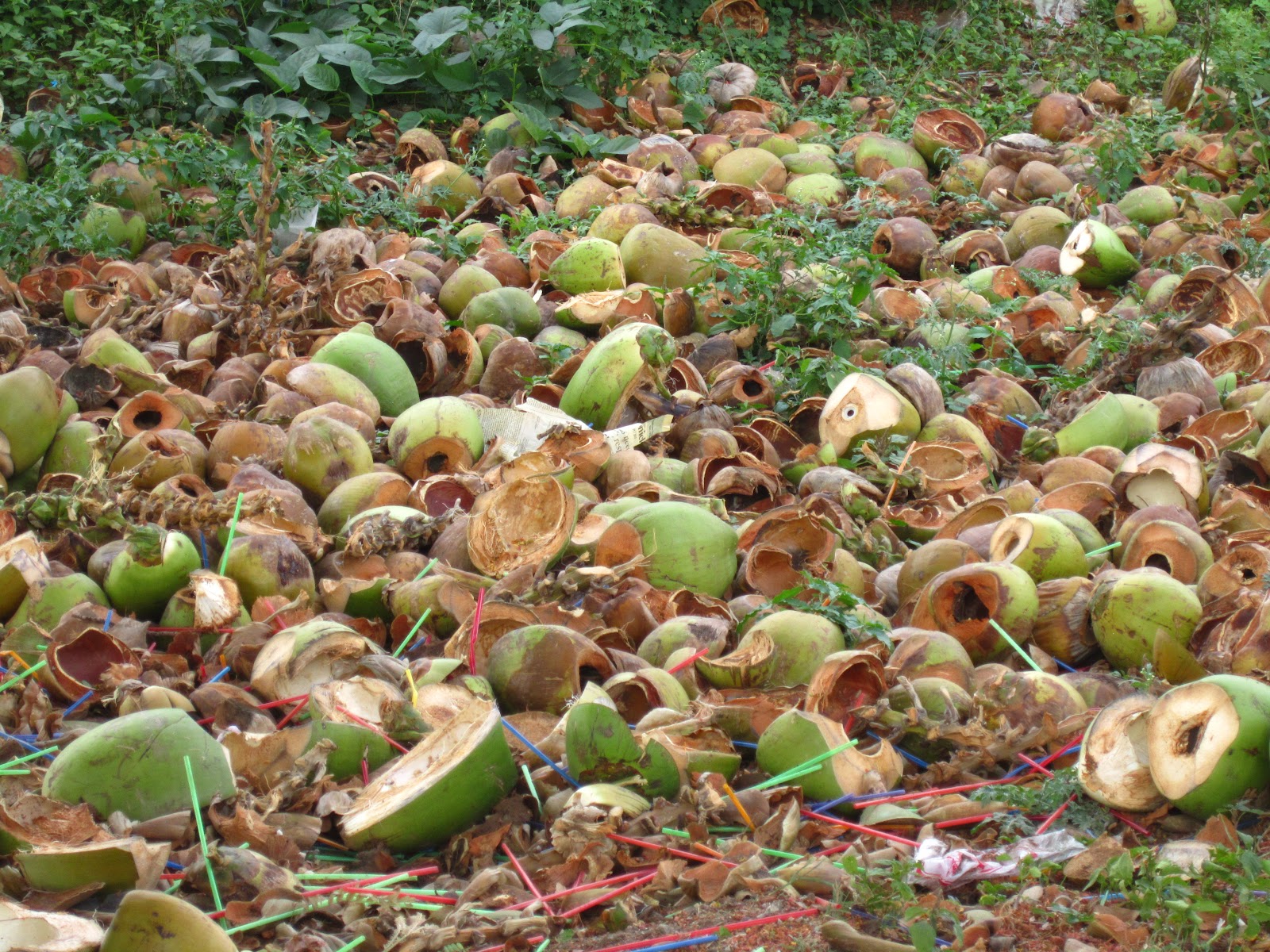 My Indian Summer: "Chennai? Straight, straight!"