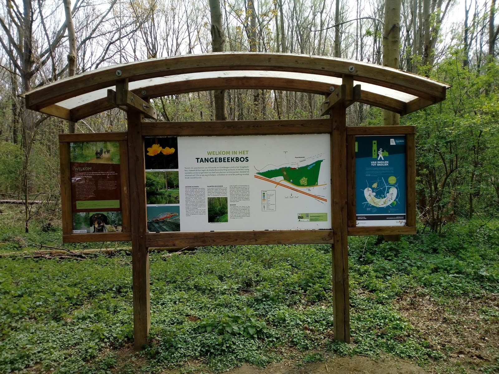 ONFF Blog: ONFF-0613 Tangebeekbos