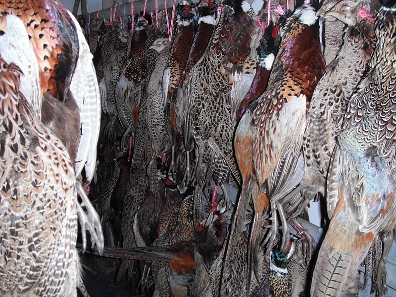 Milkweed & Teasel: It's beginning to look a lot like Christmas