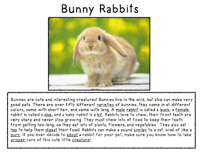 Bits About Bunnies! A Literacy Mini Unit - Little Bird Kindergarten