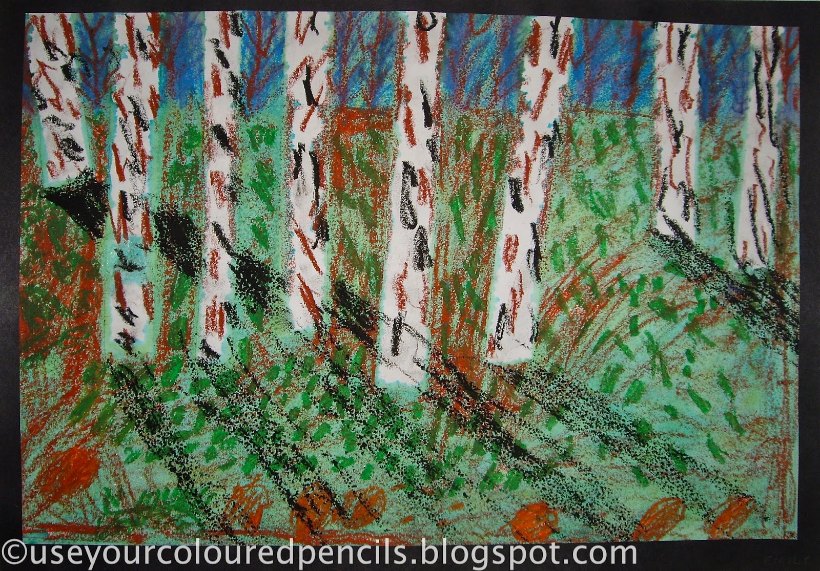 Use Your Coloured Pencils: Karri Forests