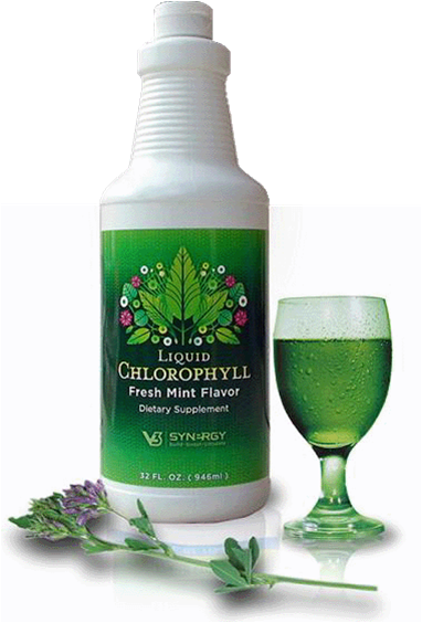 Manfaat Chlorophyll dan Kandungannya