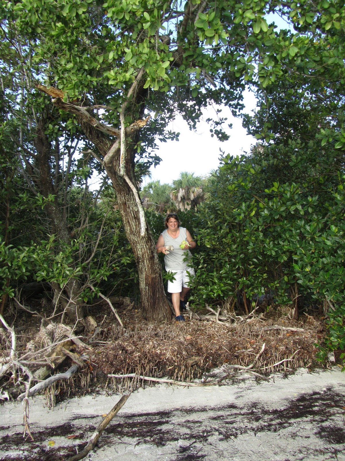 Connecting Pieces: Shell Seeker- Hunting for Conch Shells