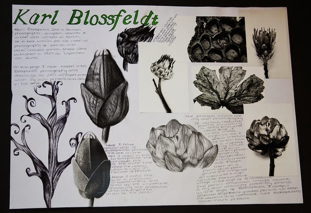 Mrs Arty Adams: Year 10 Natural forms visual ideas and resources