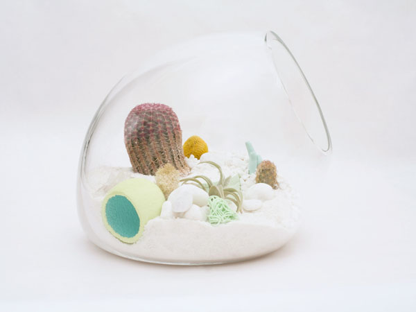 Homebuildlife: The art of display: object terrariums by Litill