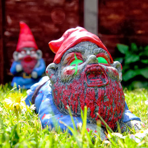 Andy foto natura: Enanos de jardin