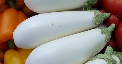 Despre fructe si legume: VINETELE ALBE