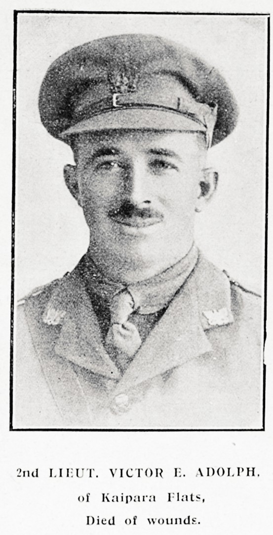 Te Aroha - Genealogy & History: Not On Memorial but with Te Aroha ...